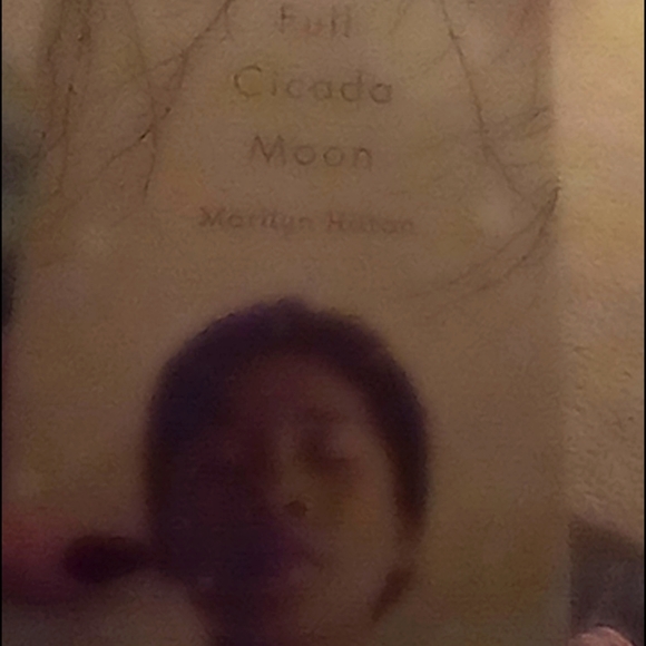 Other | Full Cicada Moon | Poshmark